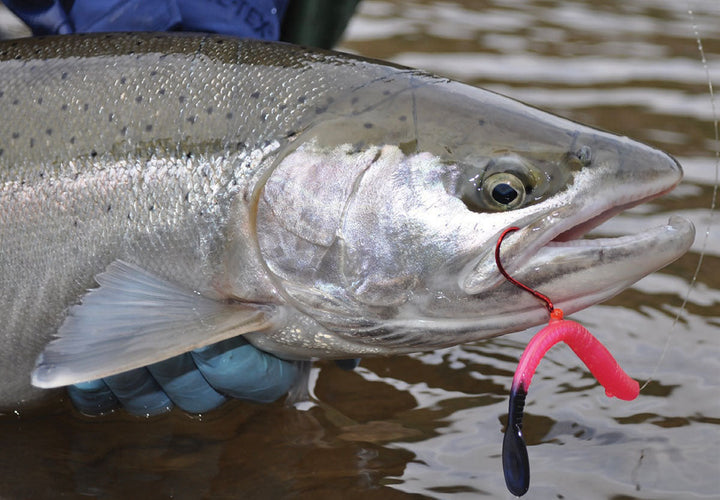 Salmon Trout Steelheader | The Finest Fishing Articles
